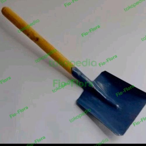 Jual sekop tanaman gagang kayu - Jakarta Timur - Fio-Flora | Tokopedia