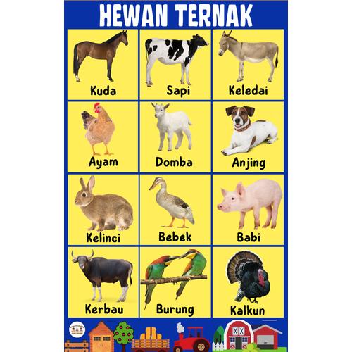 Jual POSTER BELAJAR ANAK Gambar Edukasi Balita TK PAUD SD Paket Lengkap ...