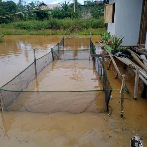 Jual RI - Hapa Jaring Keramba ikan ukuran 3m x 3m x 1m Waring Anti ...