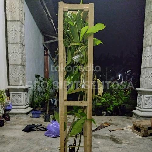 Jual Tambahan biaya packing kayu JNE 10kg - - 1meter - Kota Semarang ...