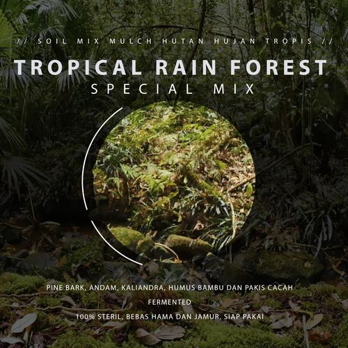 Jual Special Mix - Tropical Rain Forest Floor Media Tanam Hutan Lembap Tanaman Tropis Vivarium ...