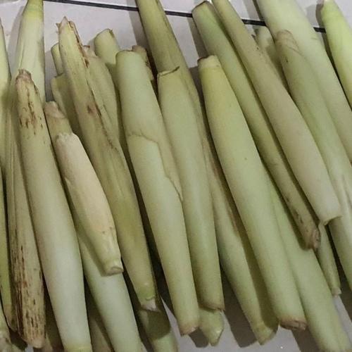 Jual Turubuk 1KG Telur Tebu Terubuk Terubus Endog Tiwu Delowako - Kab ...