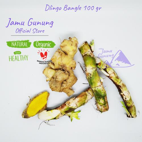 Jual 1 PAKET ! Dlingo Bengle atau Dlingo Bangle Segar 100gr - Sawan ...
