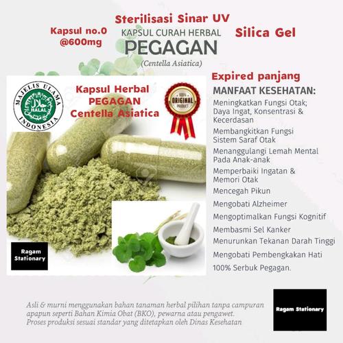 Jual Kapsul jamu herbal obat Pegagan curah isi 100 butir - Klip Obat ...