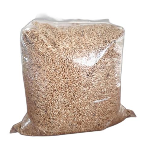 Jual Canary Seed / Kenari Seed Repack 500 Gram Pakan Burung - Kota ...