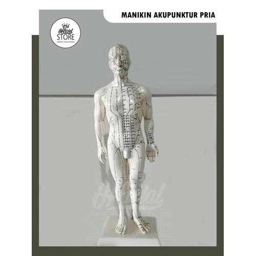 Jual Patung Manikin Titik Akupunktur / Peraga Akupuntur / Male -PRIA ...