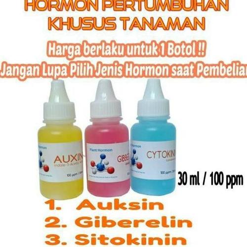 Jual Hormon Tanaman Auksin Giberelin Sitokinin 100 Ppm 30 Ml - Kota ...