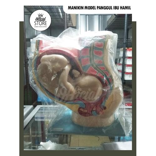 Jual PHANTOM / MANIKIN / MODEL PANGGUL IBU HAMIL - Jakarta Timur ...