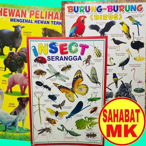 Jual POSTER EDUKASI ANAK MENGENAL MACAM MACAM HEWAN - HEWAN BUAS ...