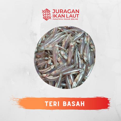 Jual Ikan Teri Basah Segar Berkualitas - 500 Gram - Jakarta Selatan ...