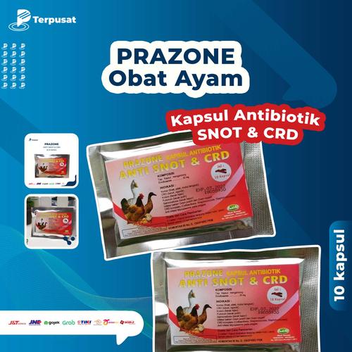 Jual PRAZONE ANTI SNOT DAN CRD 1 Sachet isi 10 Kapsul - Jakarta Timur ...
