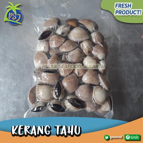 Jual Kerang tahu segar 1pack - Kerang Kepa hidup premium - Jakarta ...