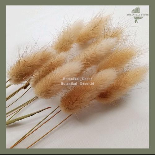 Jual Topper Ilalang, Artifact Ilalang, Hiasan kue Bunga Ilalang - Putih ...