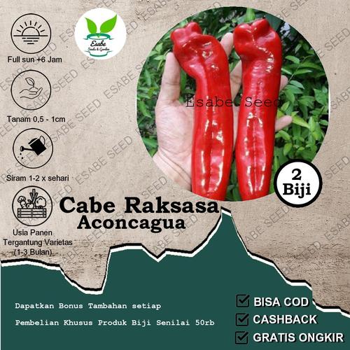 Jual Benih Biji Cabe Raksasa Giant Aconcagua Pepper - Kab. Indramayu ...