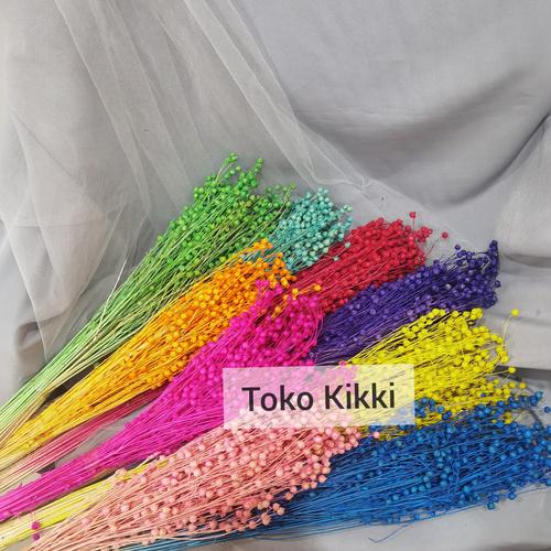 Jual Bunga Lino / Bunga Kering - Ungu, 60 gram - Jakarta Barat ...