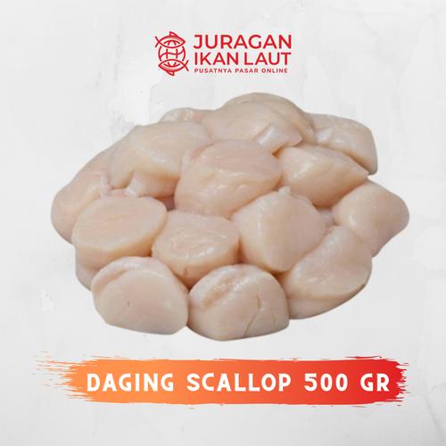 Jual Daging Scallop Kerang Kampak Segar Berkualitas - 500 Gram ...