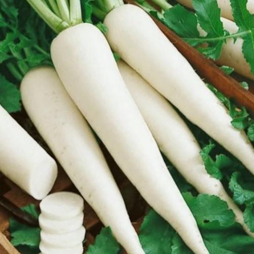 Jual Lobak Putih | sayuran lobak segar 500 grm - Jakarta Barat ...