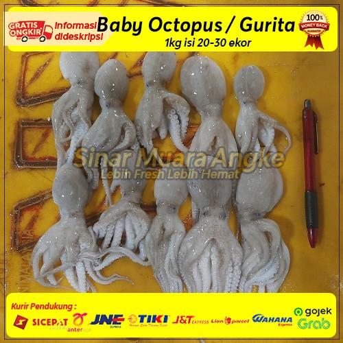 Jual Baby Gurita Frozen Beku Octopus Super Tako Frozen 1 kg - Jakarta ...