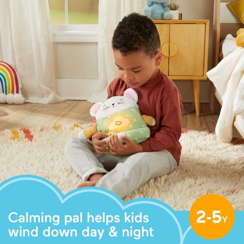 Jual Fisher-Price Meditation Mouse Plush Toy with Soothing Sounds ...