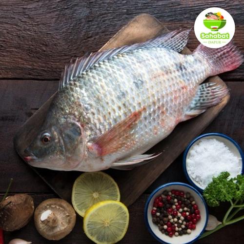 Jual Ikan Mujaer Ikan Mujair Ikan Segar 1kg - Sahabatdapur - 1kg - Kota ...