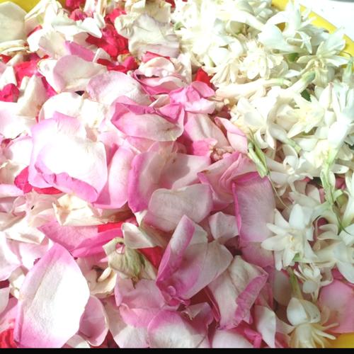 Jual Bunga Tabur Campur Wangi Asli / bunga makam / Bunga Pesta gojek ...