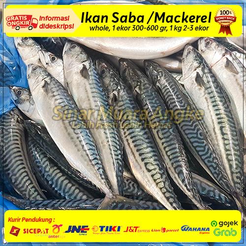 Jual Ikan saba 1Ekor 500gr / Ikan mackerel Utuh 1Ekor 400-600gram SEGAR ...