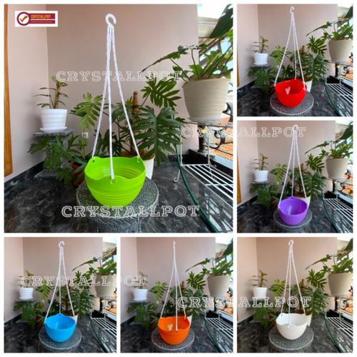 Jual Pot Bunga Tanaman Hias Rambat Gantung Gentong Warna S 20cm Lovenia ...