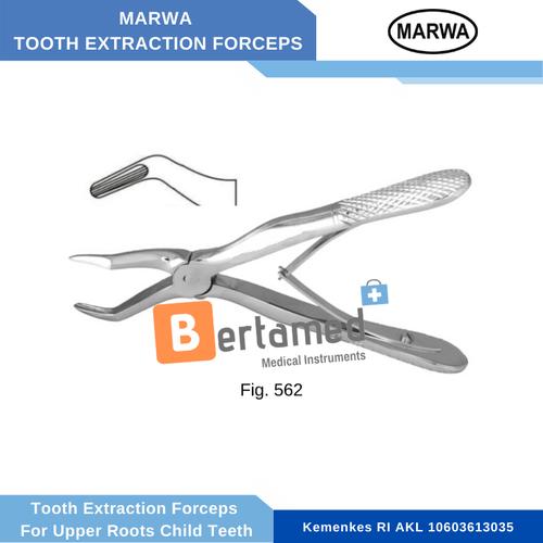Jual Tooth Extracting Forcep Child Fig. 562 / Tang Cabut Gigi Anak ...