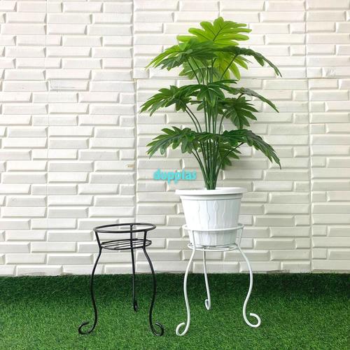 Jual Pohon Daun Monstera Jari X18 Semi Latex Pot Tulip Standing Planter ...
