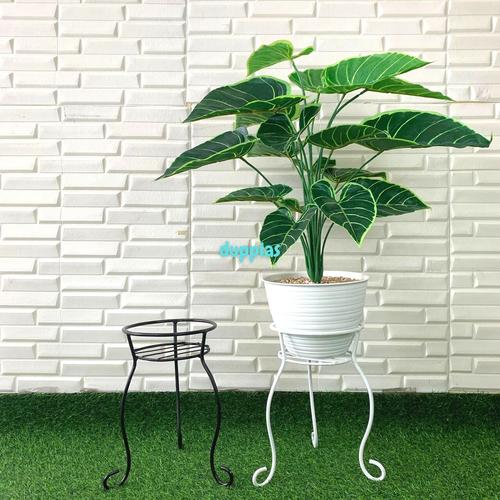 Jual Pohon Daun Alocasia X18 Semi Latex Pot Tawon Standing Planter T30 ...