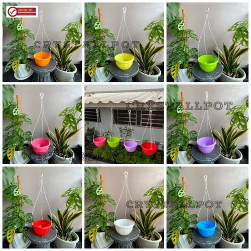 Jual Pot Gantung Tempel Bunga Tanaman Hias Rambat NKT Cakra Warna Warni ...