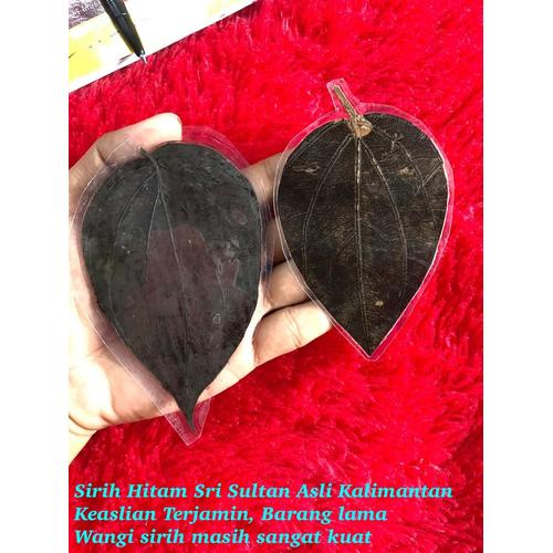 Jual Daun Sirih Hitam Asli Kalimantan Langka - Kab. Banjar - Pusaka ...