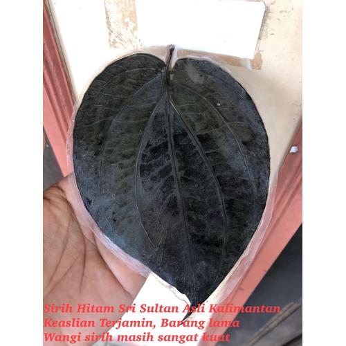 Jual Daun Sirih Hitam Asli Kalimantan Langka 0363 - Kab. Banjar ...