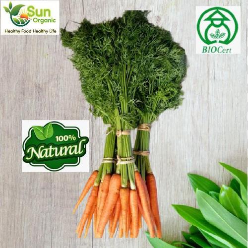 Jual Wortel baby+Daun.@500gr Wortel sedang. Wortel besar. vegetables ...