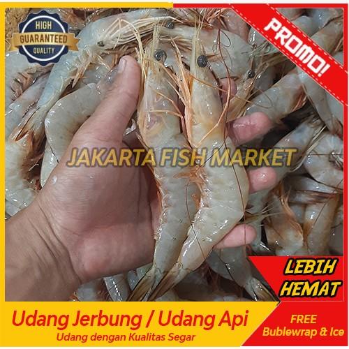 Jual Udang Jerbung Segar 500g/Udang Laut Segar/Udang Api FRESH ...