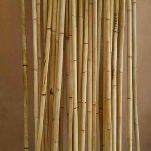 Jual Tongkat rotan besar - 100 - Jakarta Timur - Nugrahajayastore ...