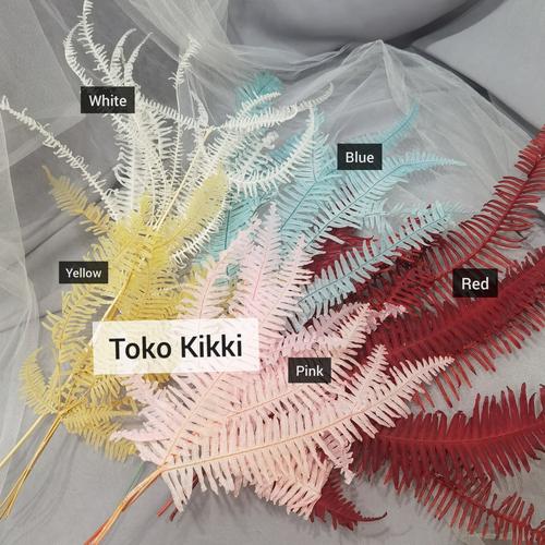 Jual Fern Flower / Dried Flower / Bunga Kipas - 3 tangkai daun ...