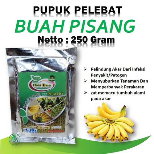 Jual Pupuk Hayati pisang raja, Boster Pelebat Buah Pisang Anti Moler - Kab. Kebumen - Supplier ...