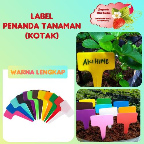 Jual label tanaman / penanda tanaman (kotak) - Hijau - Kab. Boyolali ...