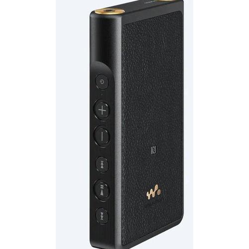 Jual Sony Nw-Wm1A Premium Walkman Hi-Res 128Gb Sony Nm Wm1A Hi Res ...