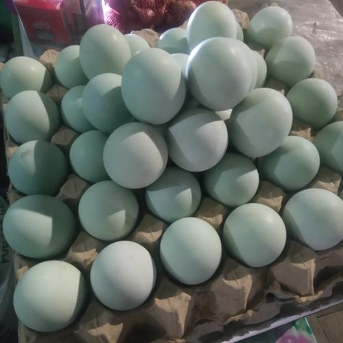 Jual telor bebek asin matang - Jakarta Timur - Almahiro Basrio | Tokopedia