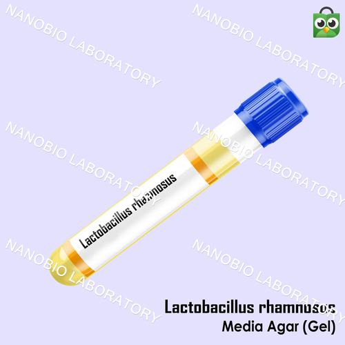 Jual Isolat Culture Lactobacillus rhamnosus Media Gel Agar - Gel Tube ...
