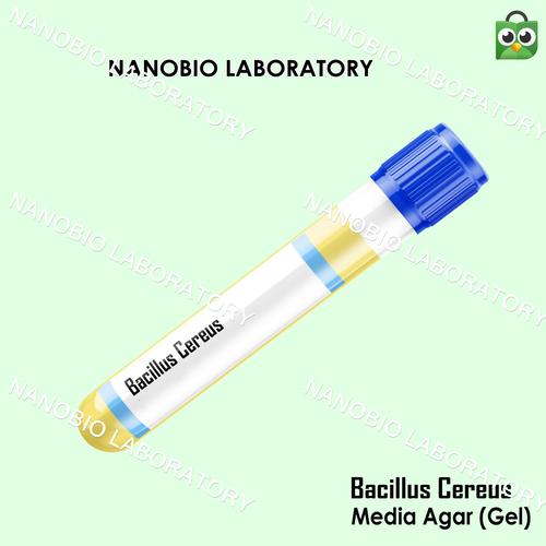 Jual Isolat Culture Bacillus cereus Media Gel Agar - Kab. Bogor ...
