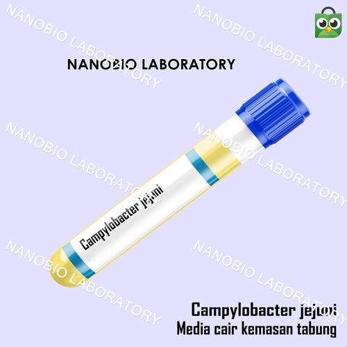 Jual Isolat Culture Campylobacter jejuni Media Cair 100ml - Media Gel ...