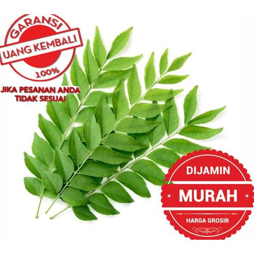 Jual Daun Kari Salam Koja Temurui Segar &Kering/Wild Curry Leave/Salted ...