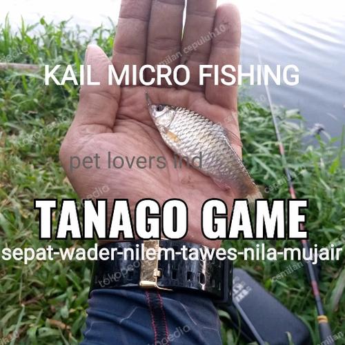 Jual Tanago/Mata kail pancing Ikan kecil no.1 Wader, rasbora, betok ...