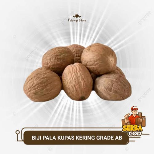 Jual BIJI PALA KERING 500 GRAM - GRADE - SS, 500 GRM - Kab. Pangandaran ...