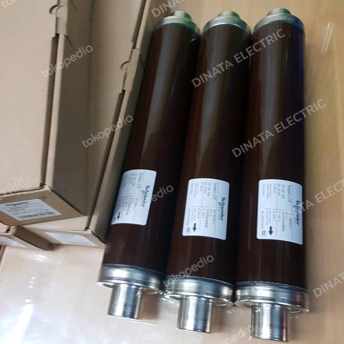 Jual Fuse TM Schneider 100A 24kv fusarc cf (kepala kecil) - Jakarta ...