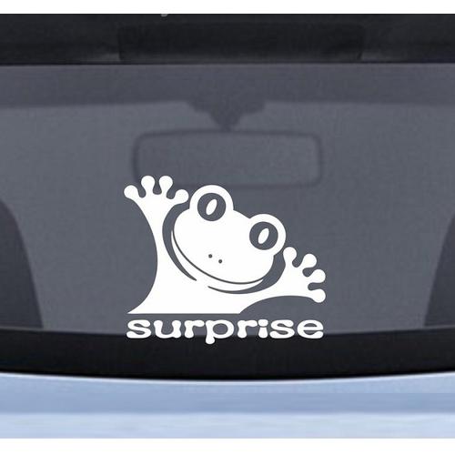 Jual Stiker Unik Lucu Body Kaca Mobil Cutting Sticker Kodok Surprise ...
