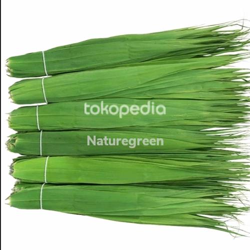 Jual Daun bambu china bungkus bakcang/kuecang/kicang/bacang fresh - Kab ...